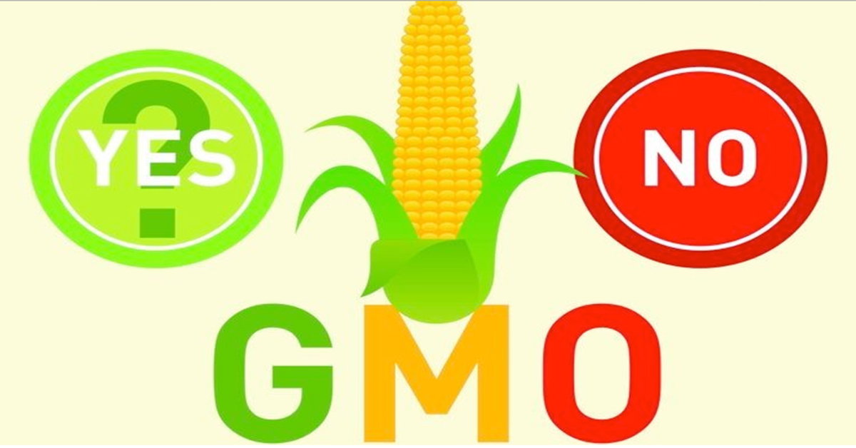 gmo – Awareness Act