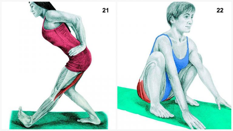 Yoga Expert Creates Brilliant Illustrations that Demonstrate Which ...