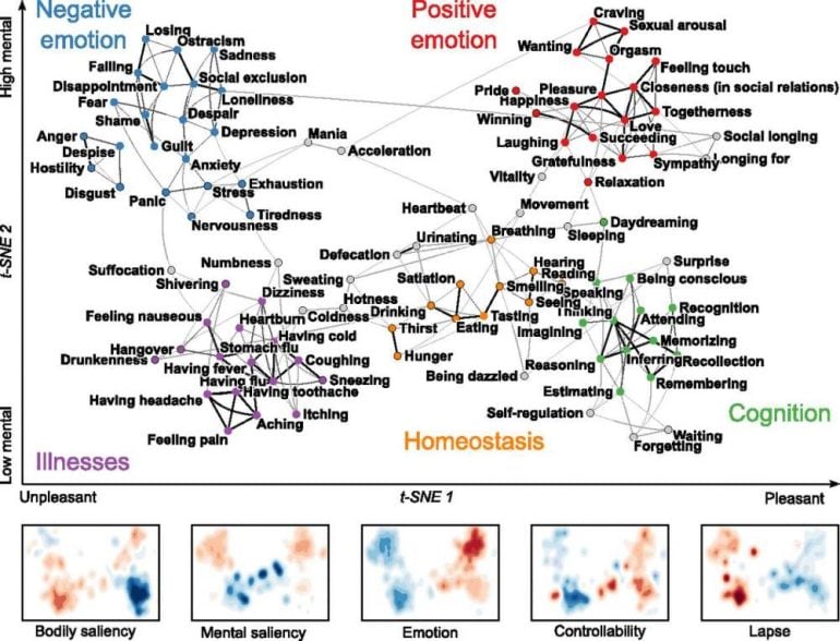 This Is What Your Feelings Really Look Like, According to Scientists ...