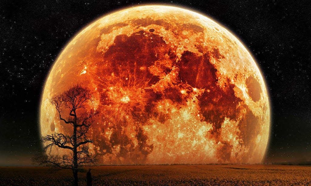 Prepare to Heal Your Mind, Body, and Soul With the Upcoming November ...