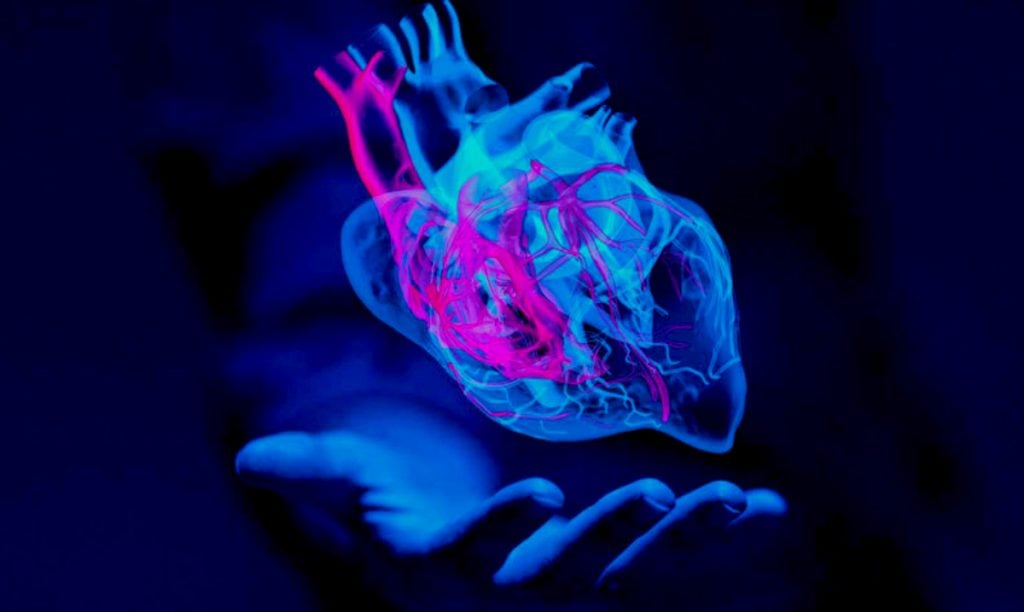 8 Ways to Tap Into Your Heart’s Intelligence – Awareness Act