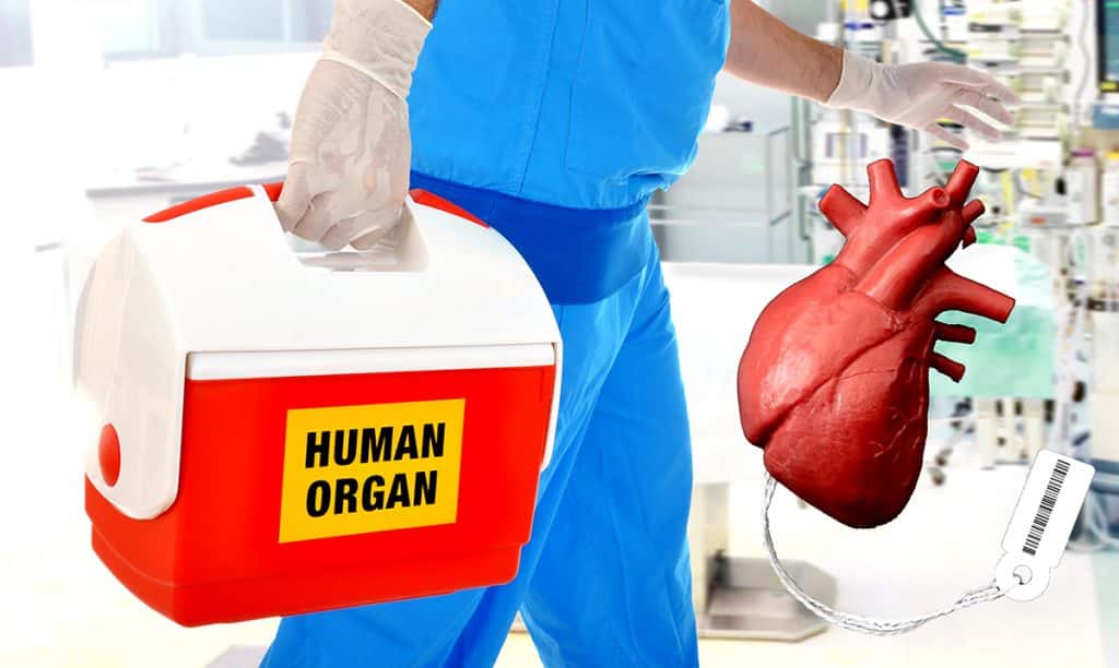 China Accused Of Harvesting Organs From Minorities, UN Urged To ...