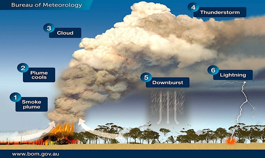 Bushfires In Australia Are Causing Pyrocumulonimbus Thunderstorms That ...