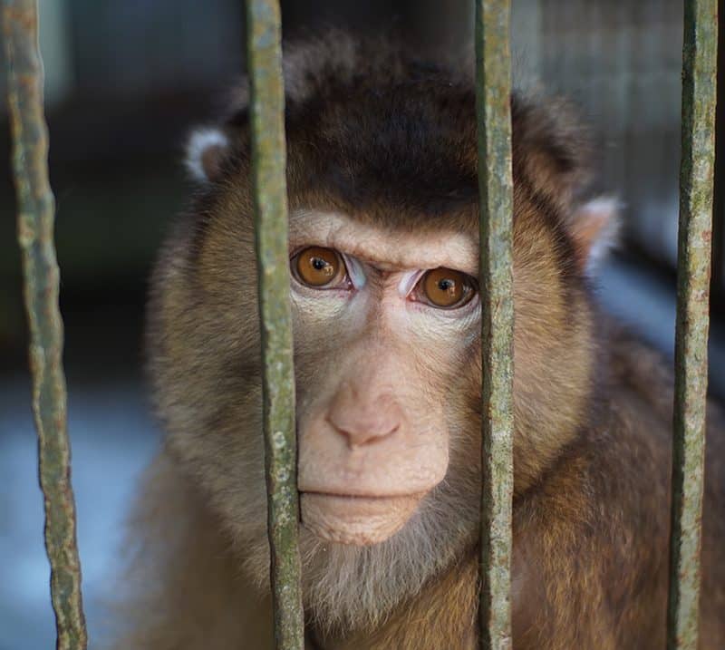 Rabbit Hole - Awareness Act