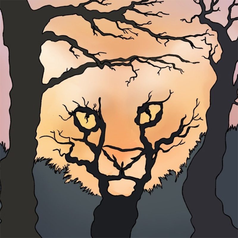 10 Optical Illusions That Will Reveal Your Personality Type – Awareness Act