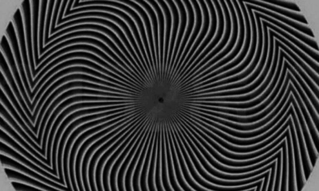 Everyone Is Seeing Different Numbers In This Image, What Numbers Do You ...