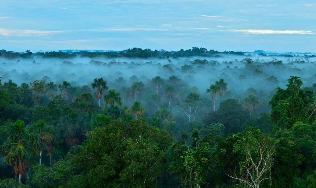 ‘Extinct’ Creatures Discovered In Lost City Found Deep Within ...